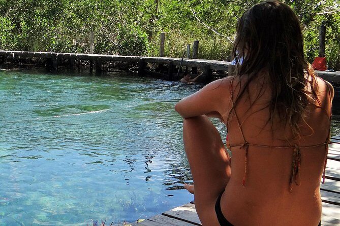 Private Boat to visit Holbox surroundings (3-Island Tour) - What to Expect on Your Holbox Island Boat Tour