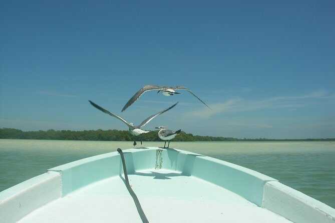 Private Boat to visit Holbox surroundings (3-Island Tour) - FAQ