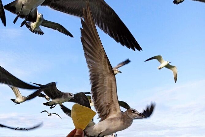 Private boat tour (3 islands tour) - The Sum Up