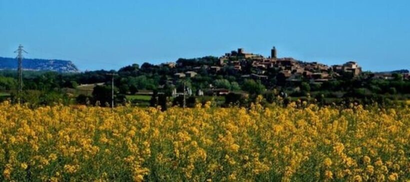 Private Boat Tour, Costa Brava, & Medieval Villages - A Complete Guide to the Private Boat Tour of Costa Brava & Medieval Villages