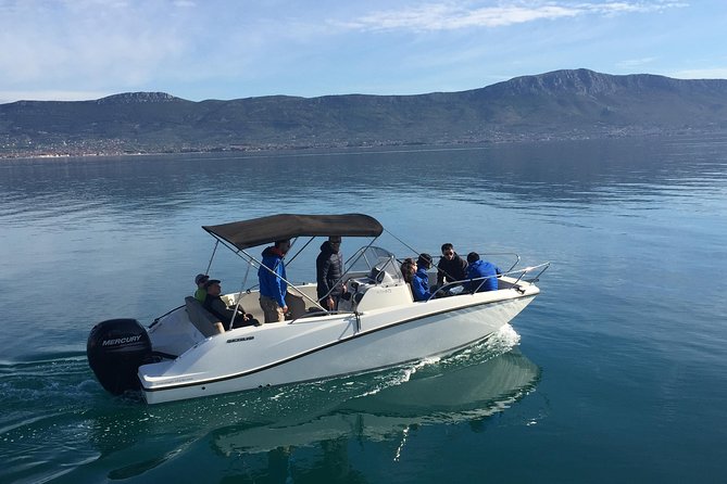 Private Boat Tour From Split or Trogir - Create Your Itinerary - Popular Destinations: Hvar and Palenki Islands