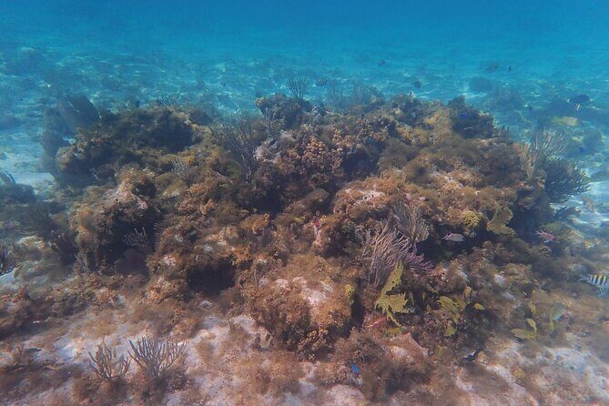 Private Boat Tour in Cayman Islands - Why This Tour Stands Out