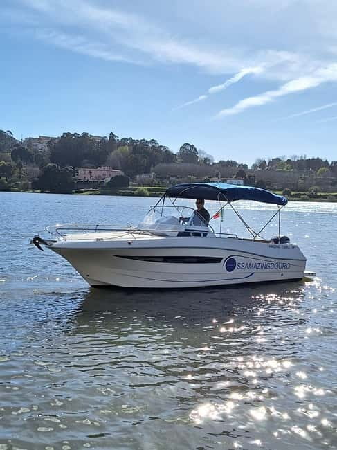 Private Boat Tour in Porto with Portuguese Tapas Option - Discovering Porto from the Douro: What to Expect