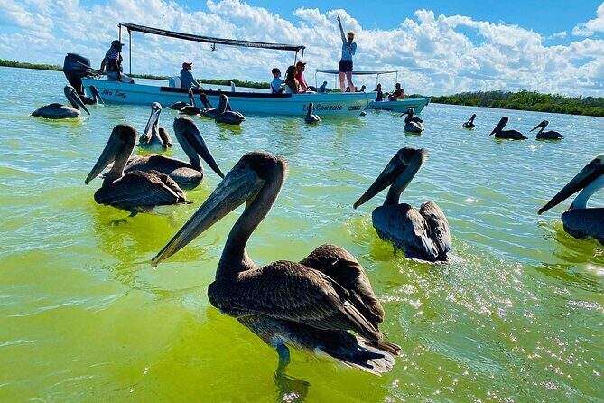 Private Boat Tour of Rio Lagartos - Authentic Experiences and Authenticity