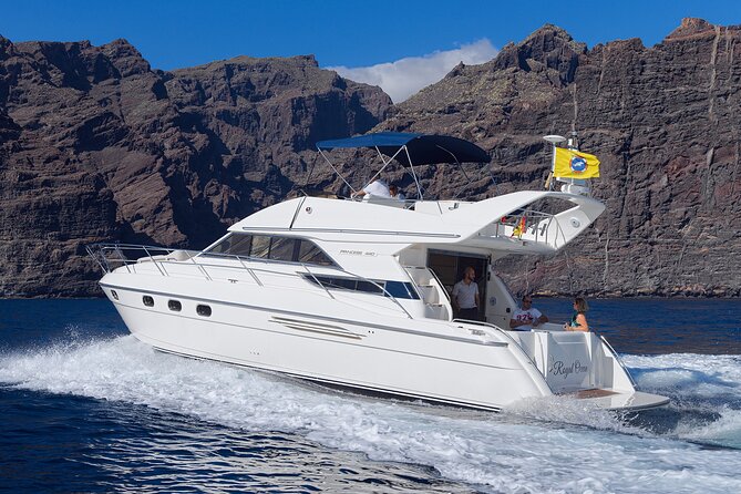 Private Boat Tour on Royal Ocean Yacht, Tenerife - Tips for a Smooth Sailing Experience