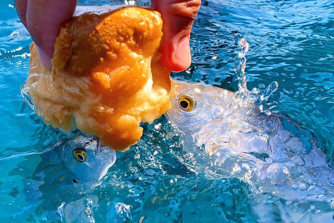 Private Boat Tour Portofino, Golfo Paradiso and Tigullio - Accessibility Features