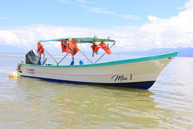 Private Boat Tour to Yelapa and Majahuitas Snorkel (up to 7 guests) - Practical Aspects and Booking