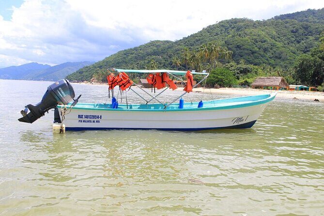 Private Boat Tour to Yelapa and Majahuitas Snorkel (up to 7 guests) - The Sum Up