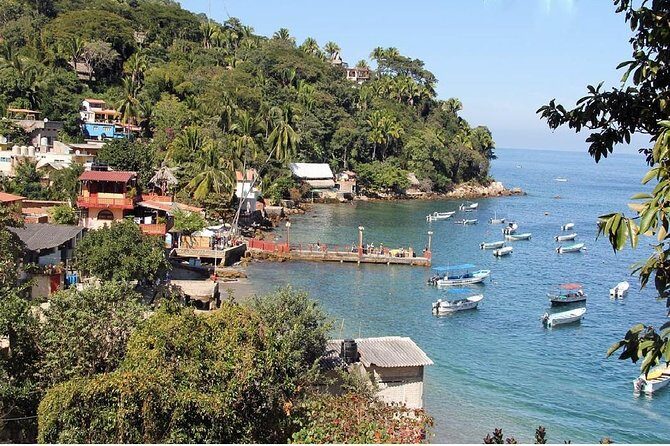 Private Boat Tour to Yelapa - A Deep Dive into the Experience