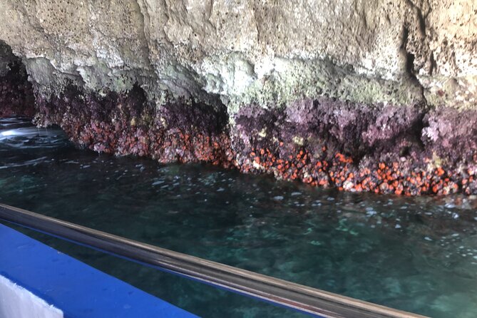 Private Boat Tour With Prosecco - Frequently Asked Questions