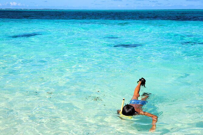 Private Boat Tour with Snorkeling, Island Hopping, and Noahs Ark - What the Reviews Tell Us