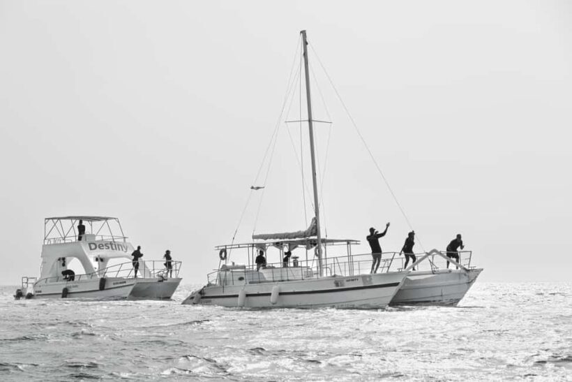 Private Boat Trip in Punta Cana with cocktails included - The Experience in Action