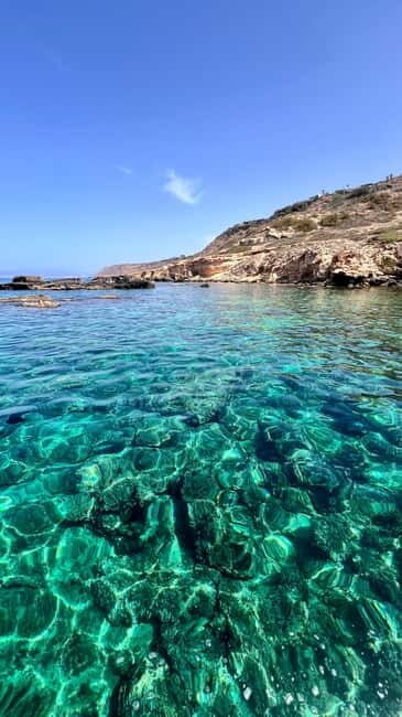 Private Boat Trip Playa de Palma Marine Reserve - Key Points