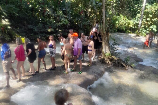 Private Bob Marley 9 Mile& Dunns River Adventures Fr. Montego Bay - Frequently Asked Questions