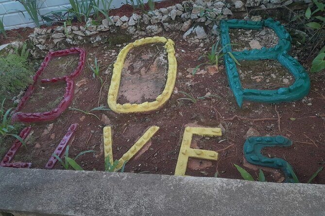 Private Bob Marley Nine Mile Tour from Montego Bay - Who Should Consider This Tour?