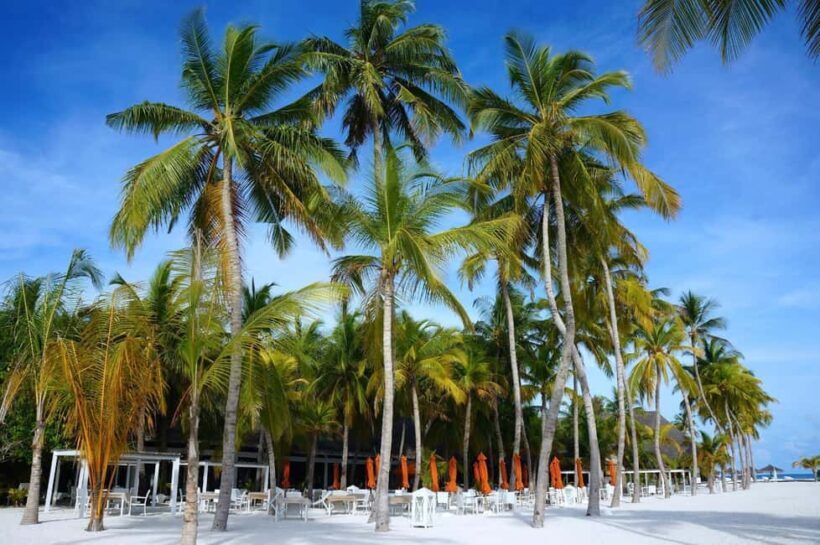 Private: Boca Chica to Saona Island Full-Day Cruise - Key Points