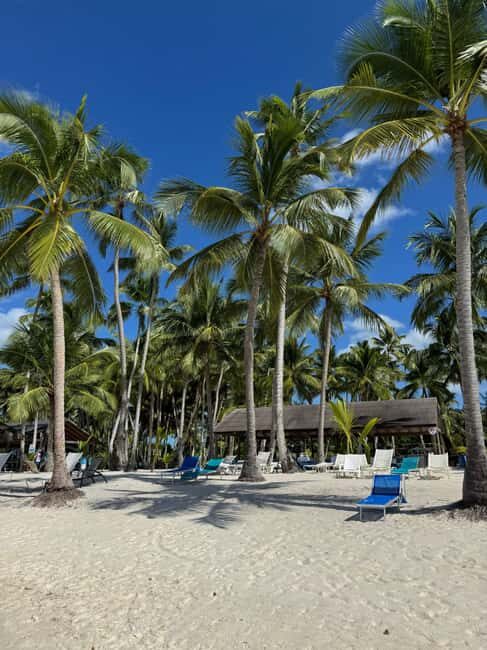 Private: Boca Chica to Saona Island Full-Day Cruise - Potential drawbacks and considerations