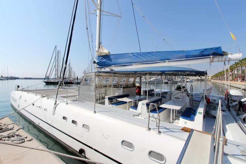 Private: Boca Chica to Saona Island Full-Day Cruise - FAQs