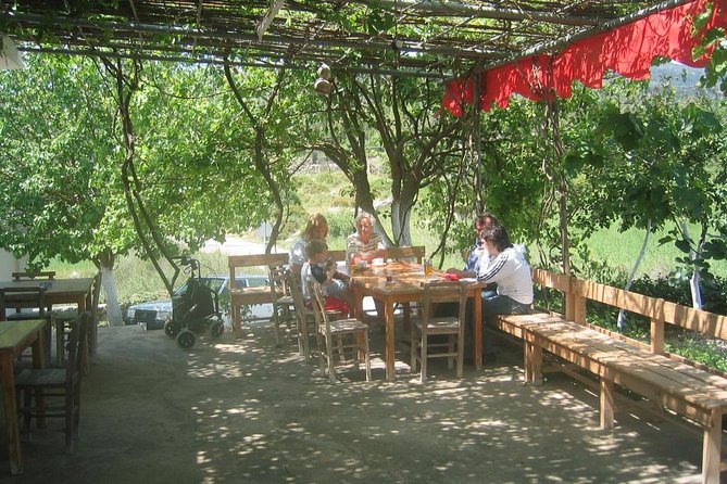 Private Bodrum Village Tour + 1 Glass Free Local Wine - Experience Highlights