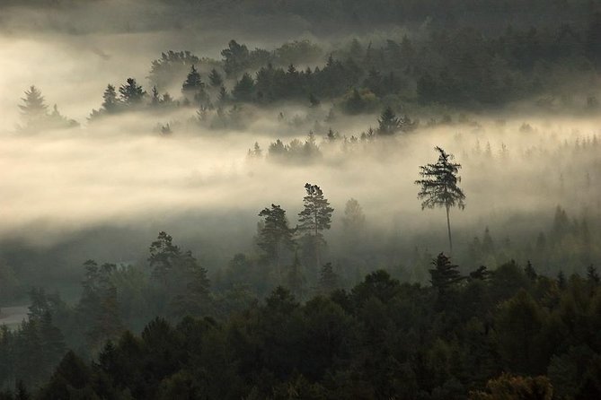 Private Bohemian Paradise national park luxury tour All-Inclusive - The Practicalities and Comfort