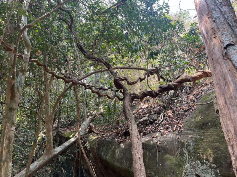 Private Bonteay Srei, Kbal Spean and Beng Mealear Tour - The Sum Up