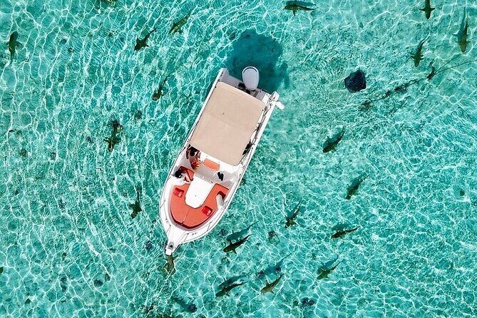 Private Bora Bora Lagoon Experience - FAQ