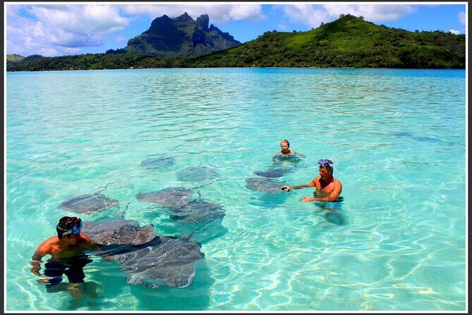 Private Bora Bora Lagoon & Water Lunch Experience - What to Expect from the Bora Bora Lagoon & Water Lunch Tour