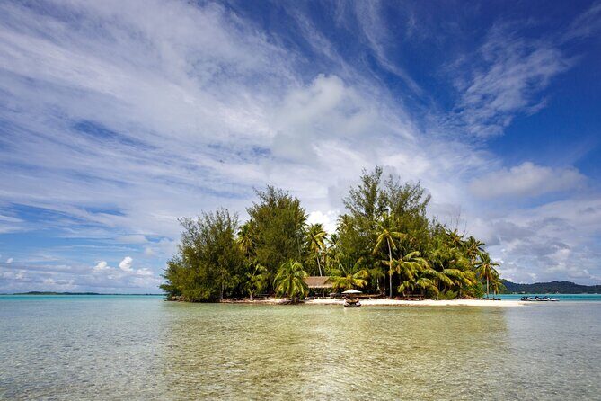 Private Bora Bora Snorkeling Cruise with Optional Vegetarian Lunch on the Beach - An In-Depth Look at the Bora Bora Snorkeling Experience