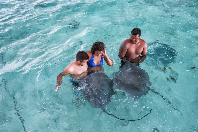 Private Bora Bora Snorkeling Cruise with Optional Vegetarian Lunch on the Beach - Who Should Consider This Tour?