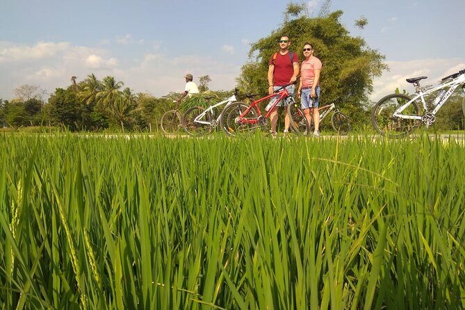 Private Borobudur Village Tour by Bike - Key Points