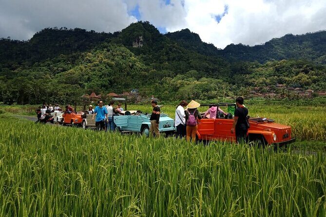 Private Borobudur Village Trip By Volkswagen Safari - Final Thoughts