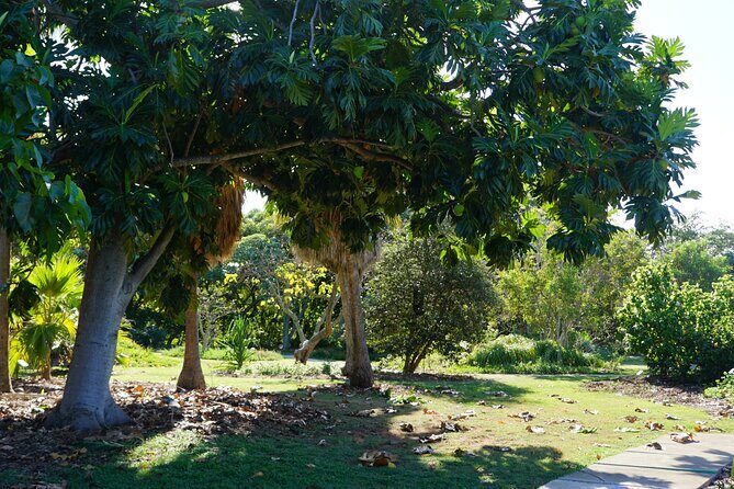 Private Botanical Garden Experience in the Heart of Maui - The Sum Up