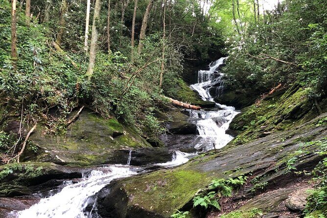 Private Boutique Blue Ridge Parkway Full Day Tour - In-Depth Breakdown of the Itinerary