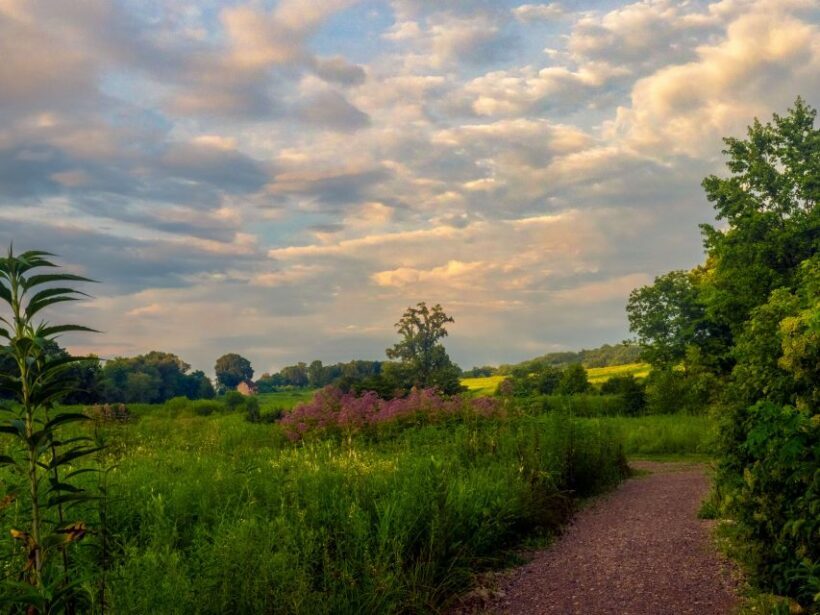 Private Brandywine and Longwood Gardens Driving Tour - Highlights That Set This Tour Apart