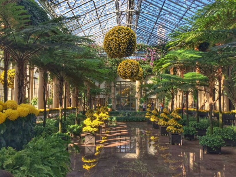 Private Brandywine and Longwood Gardens Driving Tour - Who Will Love This Tour?