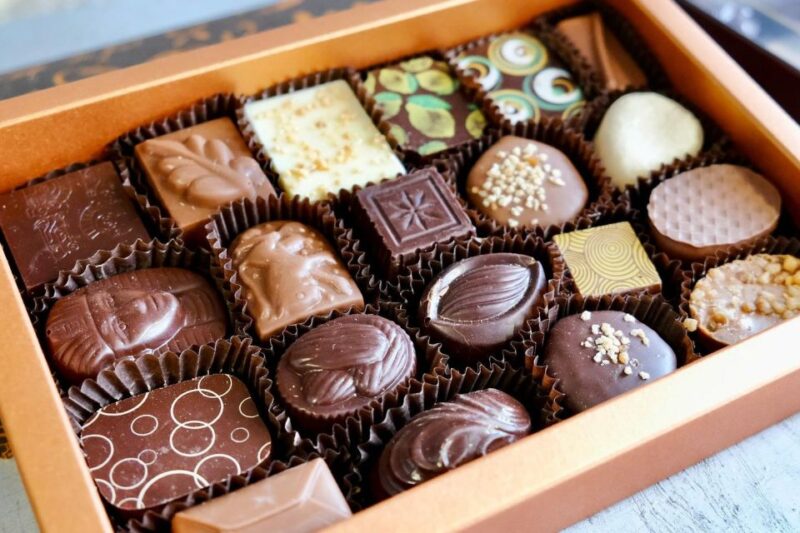 Private Bruges Full-day trip by Mercedes from Paris - Final Thoughts