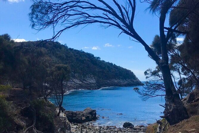 Private Bruny Island Discovery Tour - Gourmet Lunch at Bruny Island Premium Wines