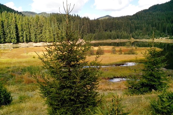 Private Buggy Experience All Seasons in Pamporovo - Who Would Love This Tour?