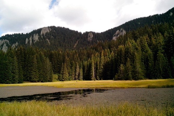 Private Buggy Experience All Seasons in Pamporovo - The Sum Up