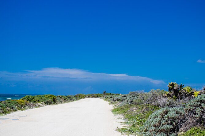 Private Buggy Tour and Punta Sur Park: All-Inclusive - Exploring the Itinerary