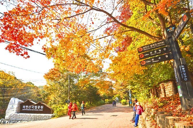 Private Bukhansan Mountain Hiking Tour with Korean Sauna - Tasting Korea: The Korean BBQ Experience