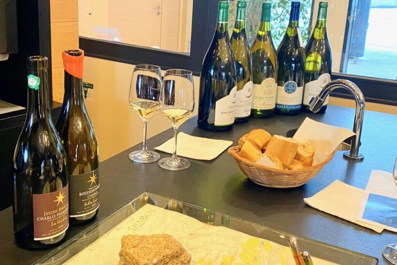 Private Burgundy 4 Domains 20 Chablis Wines Caves from Paris - Exploring Chablis Village and Local Producers