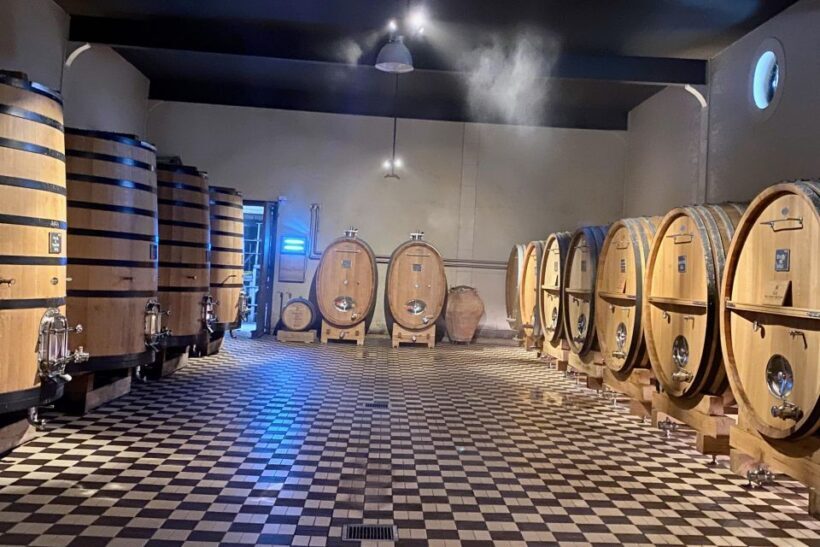 Private Burgundy 4 Domains 20 Chablis Wines Caves from Paris - Visiting Maison Régnard and Additional Domains