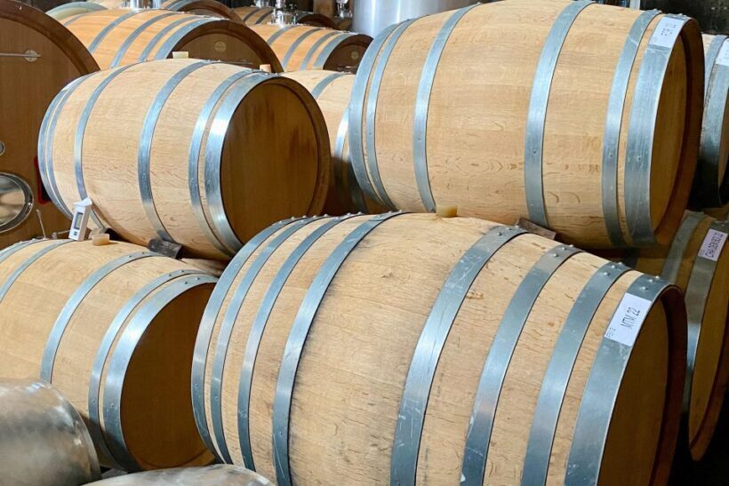 Private Burgundy 4 Domains 20 Chablis Wines Caves from Paris - Analyzing the Value: Is This Tour Worth It?