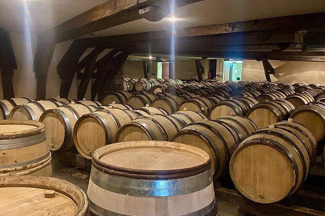 Private Burgundy 4 Domains 20 Chablis Wines tasting from Paris - Who Is This Tour Best For?