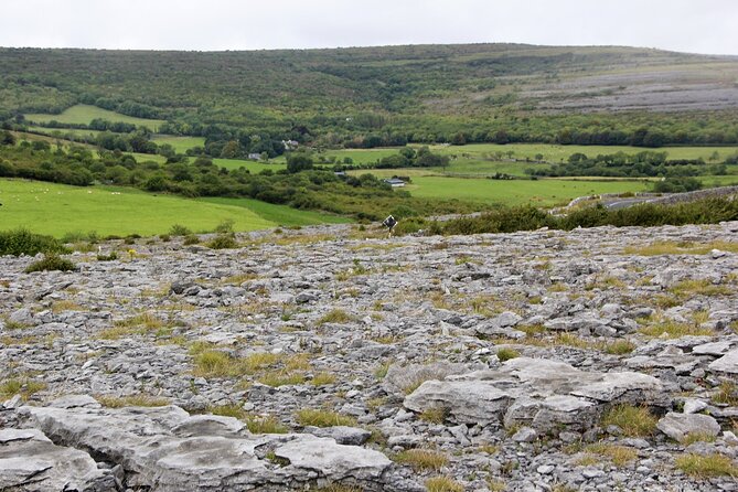Private Burren and Cliffs of Moher Full Day Tour - Schedule and Accessibility