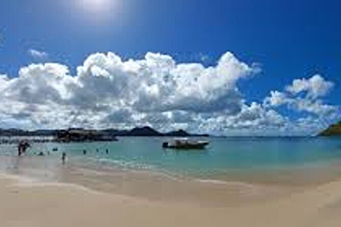 Private Bus and Walking Tour of St Lucia - Who Will Love This Tour?