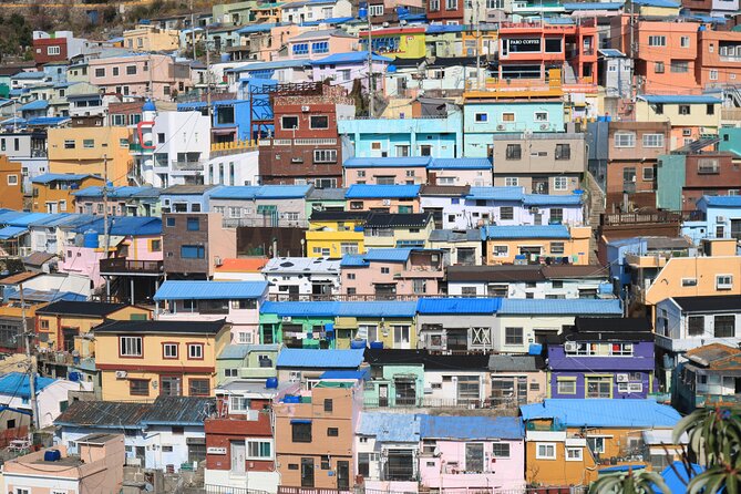 Private Busan tour with gamcheon culture village and the temple (Customizable) - What’s Included and What’s Not?
