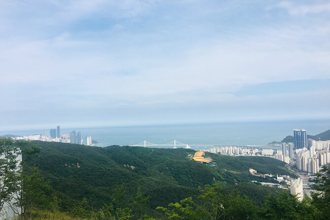 Private Busan tour with gamcheon culture village and the temple (Customizable) - FAQs