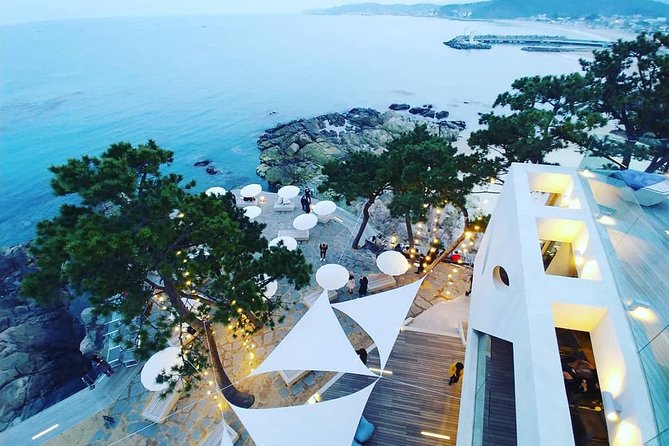 Private Busan Tour with hidden gem of Busan by Local Guide - The Sum Up